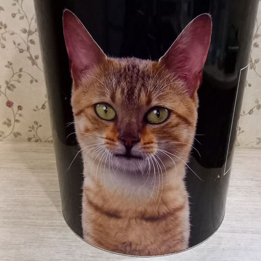 Бак для сухого корма