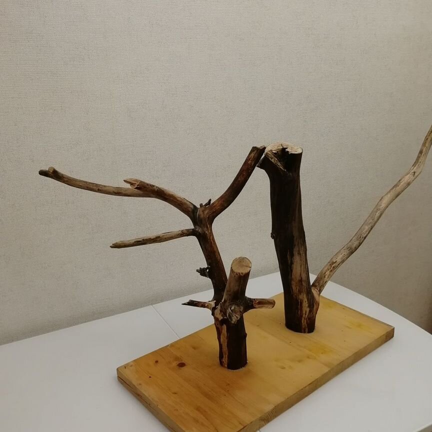 Присад для попугая из необработанных веток яблони