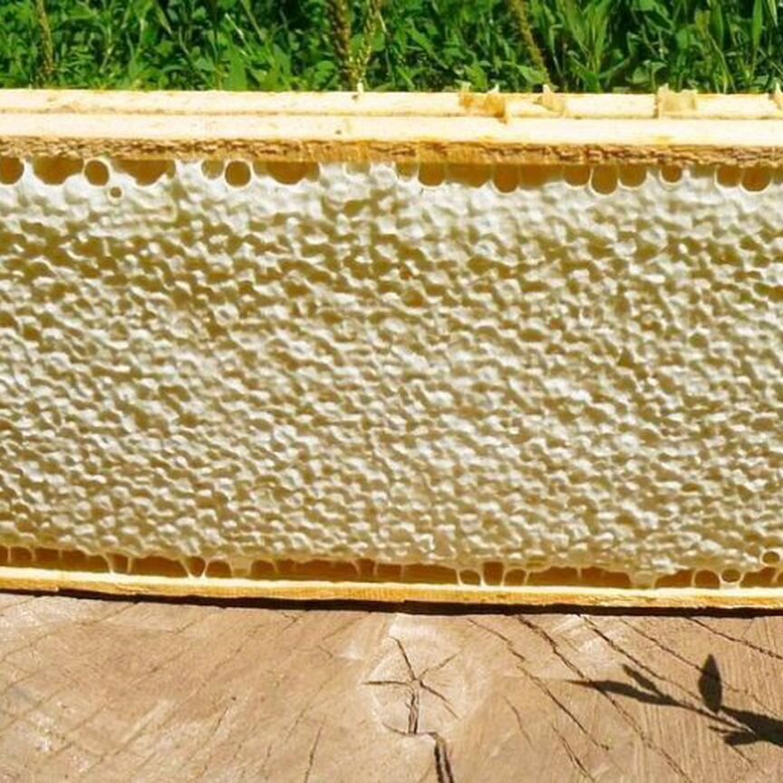 Рамки для пчел