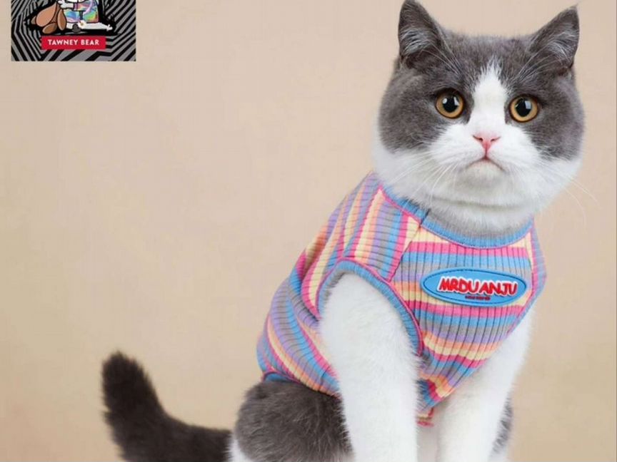 Майки для котят