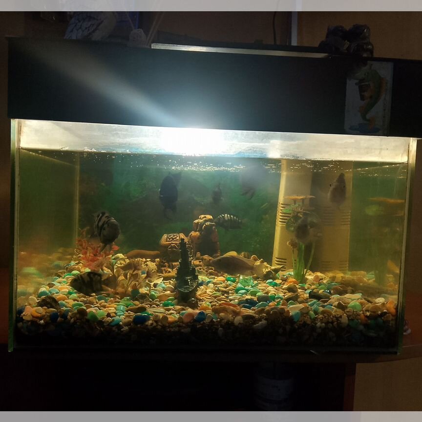 Аквариум