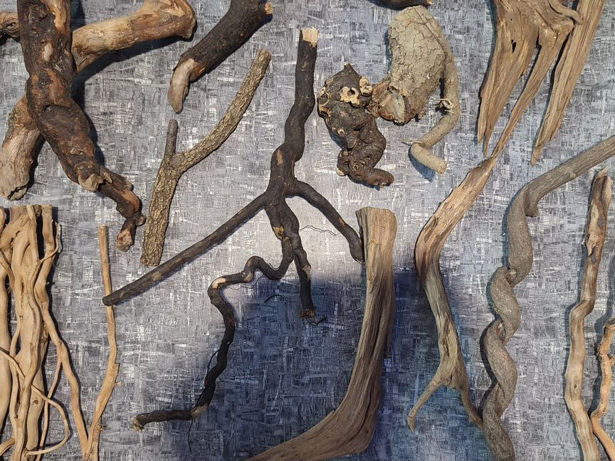 Доставка / Коряги, лиана, корни, листья магнолии