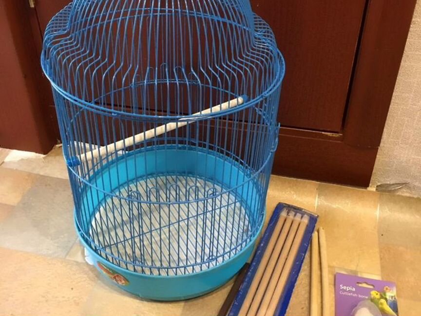 Большая клетка для птиц с аксессуарами