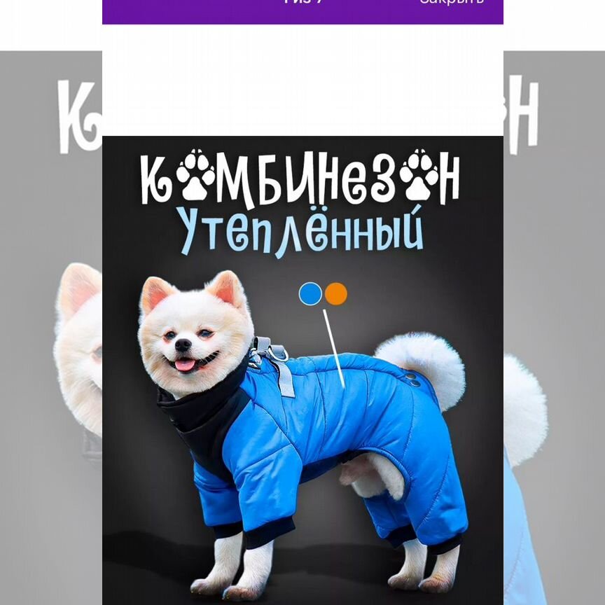 Одежда для собак