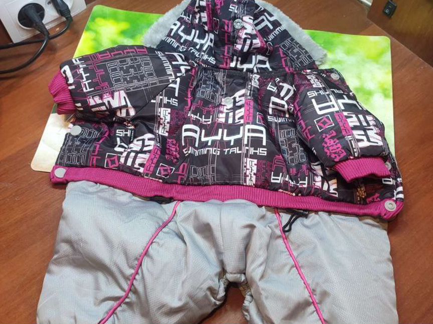 Канбенезон для собак