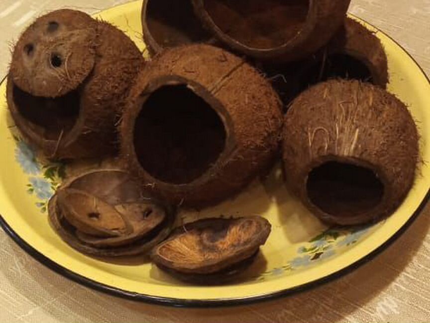 Кокос для аквариума