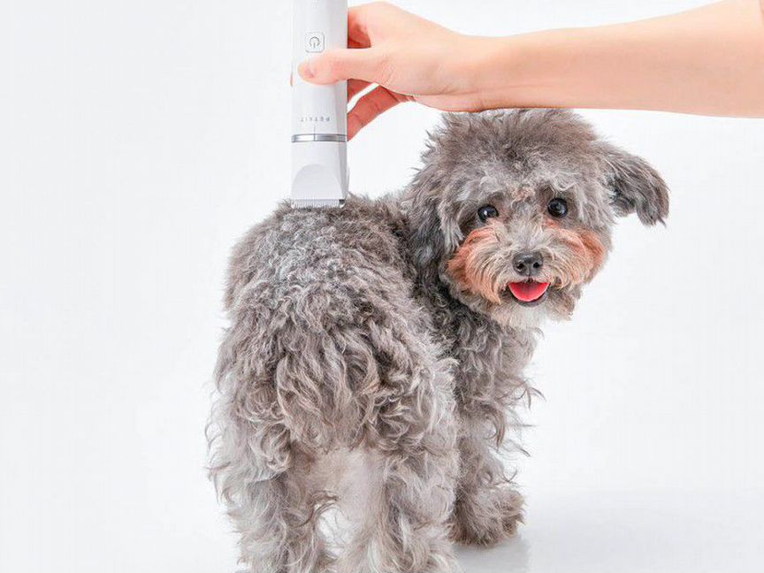 Машинка для стрижки животных Xiaomi Petkit Trimmer