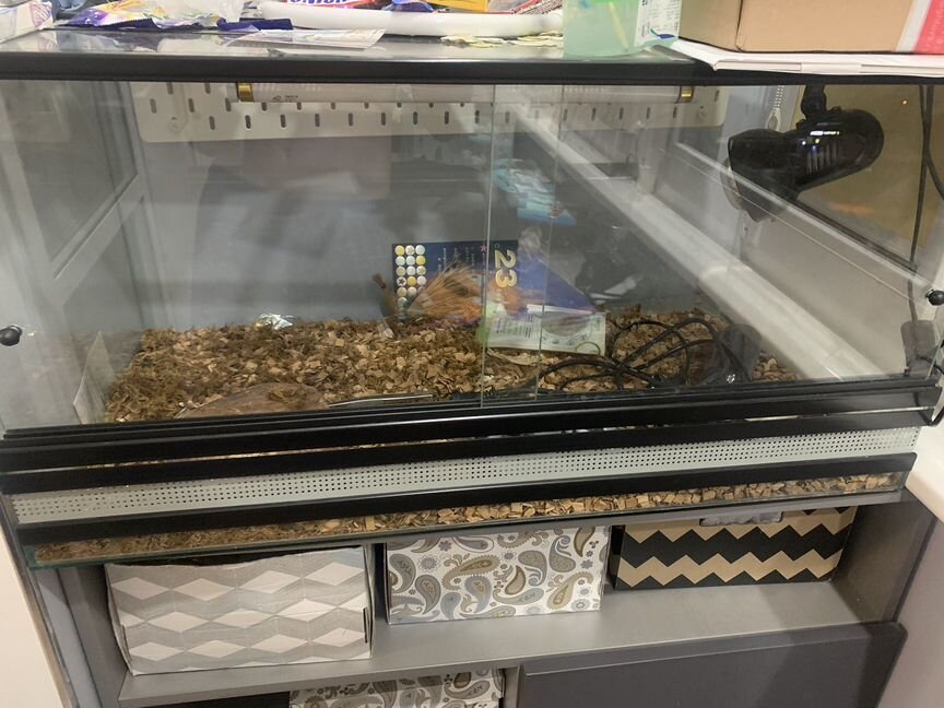 Террариум для бородатой агамы 80/40/40