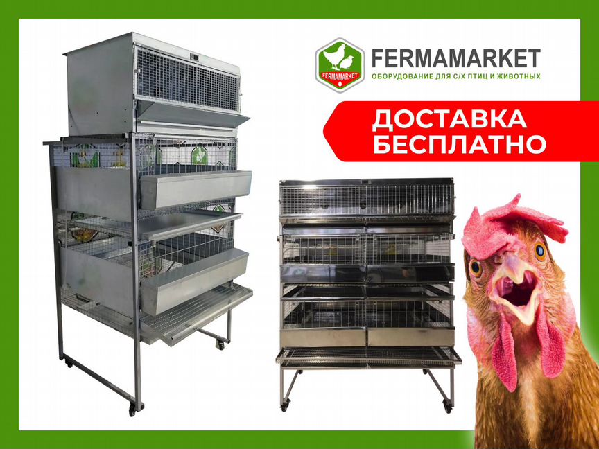 Клетки бройлеров, кур-несушек Калуга
