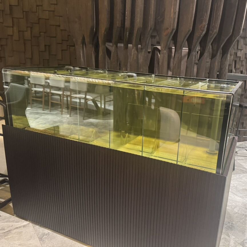 Аквариум для устриц/морепродуктов