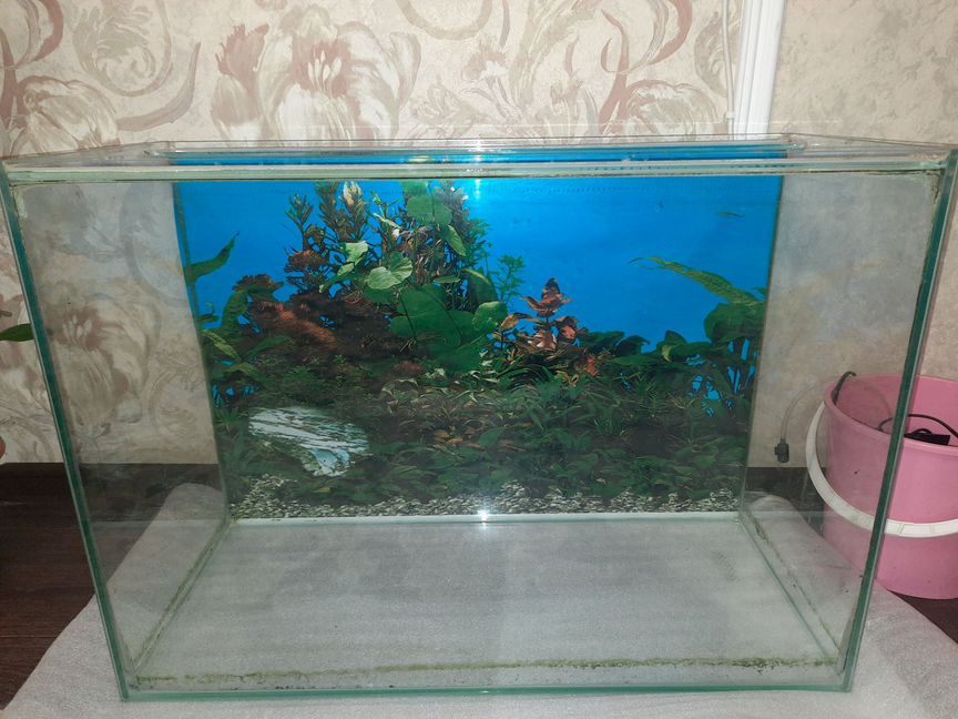 Аквариум