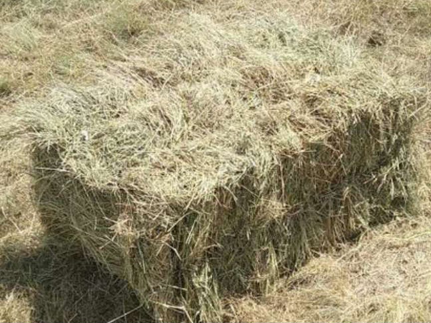 Сено в тюках