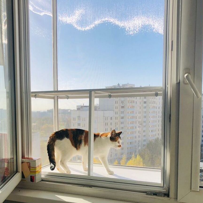 Балкон для выгула кошки