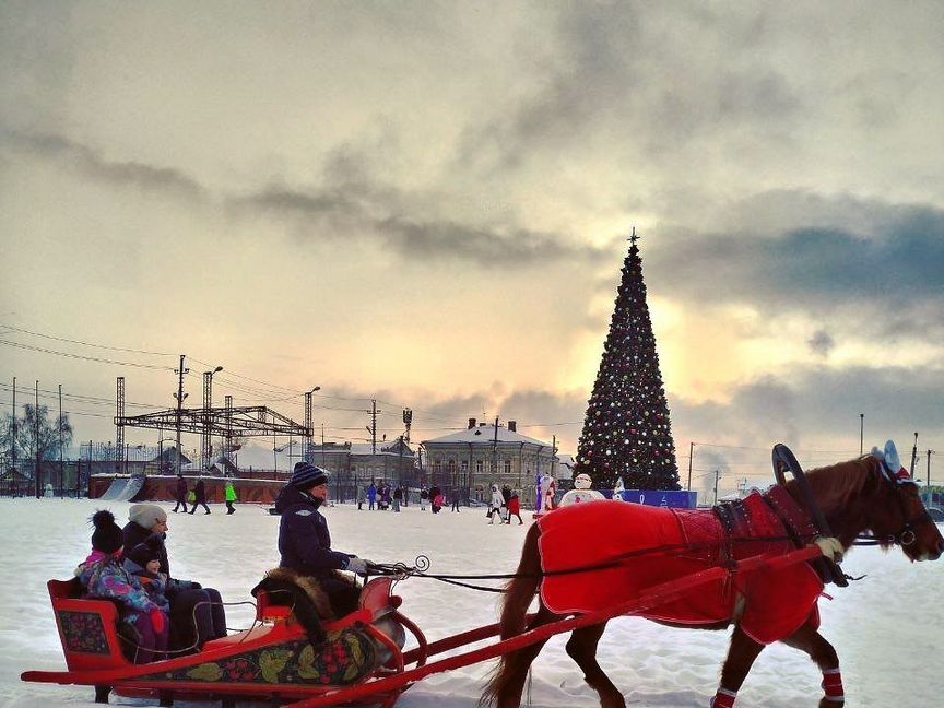 Сани для лошади