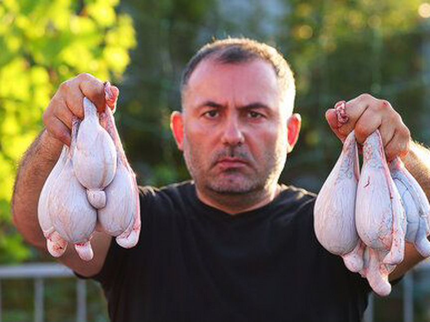 Семенники бараньи для собак