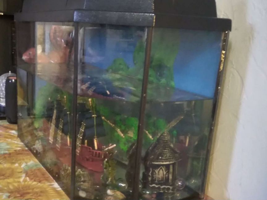 Аквариум 60 литров