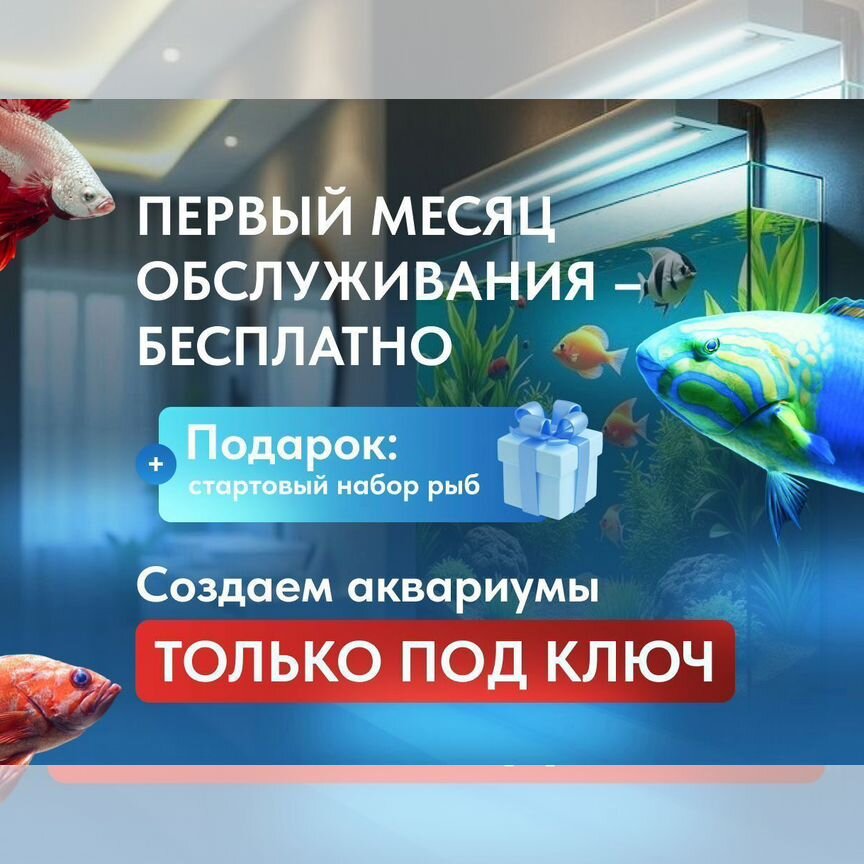 Аквариум
