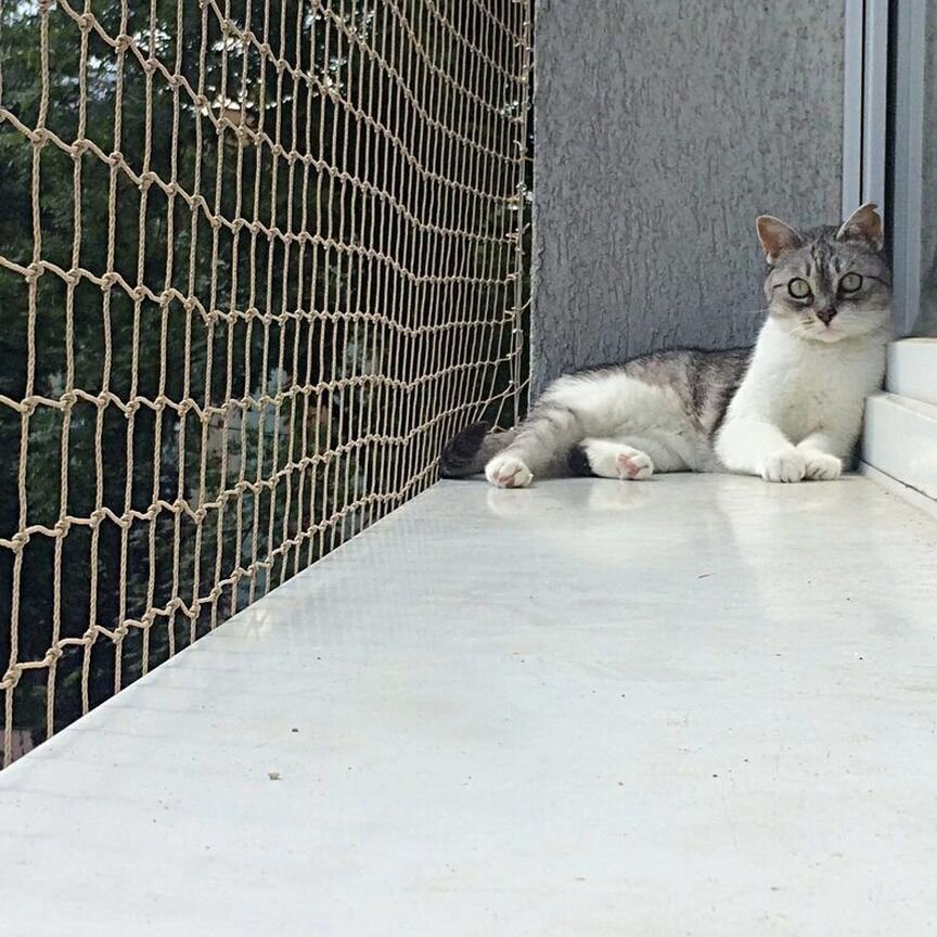 Сетка на не застекленные балконы от голубей и кото