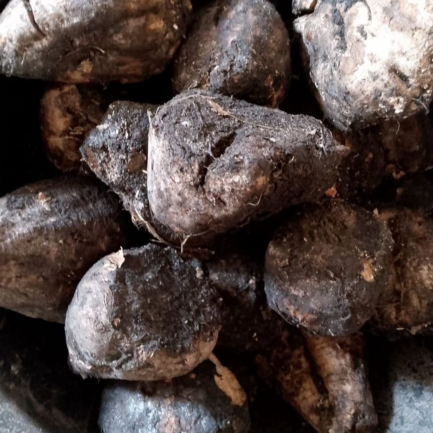 Продам свеклу для скотины