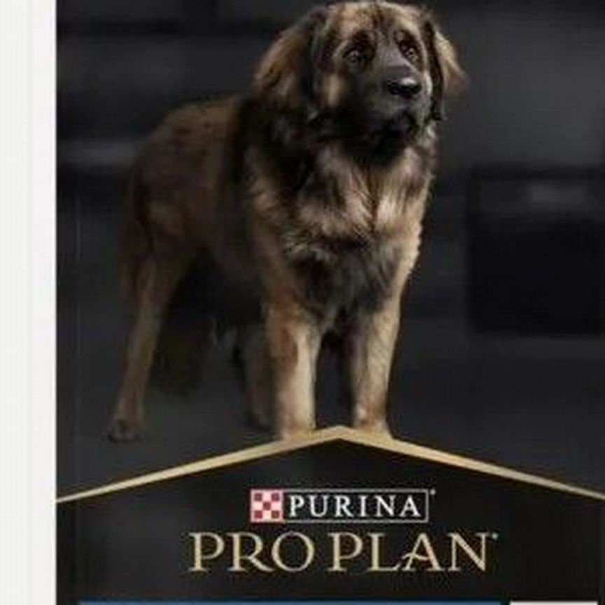 Корм для собак