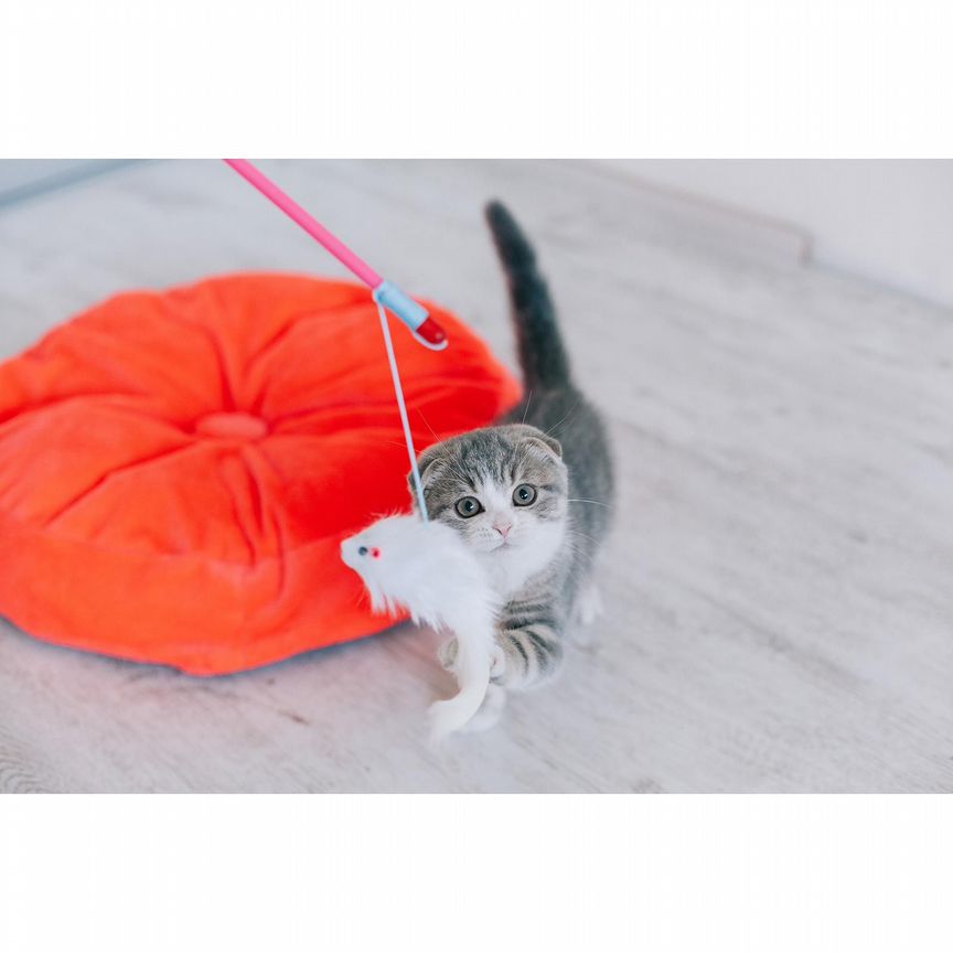 Дразнилка-удочка для кошек с белой мышью