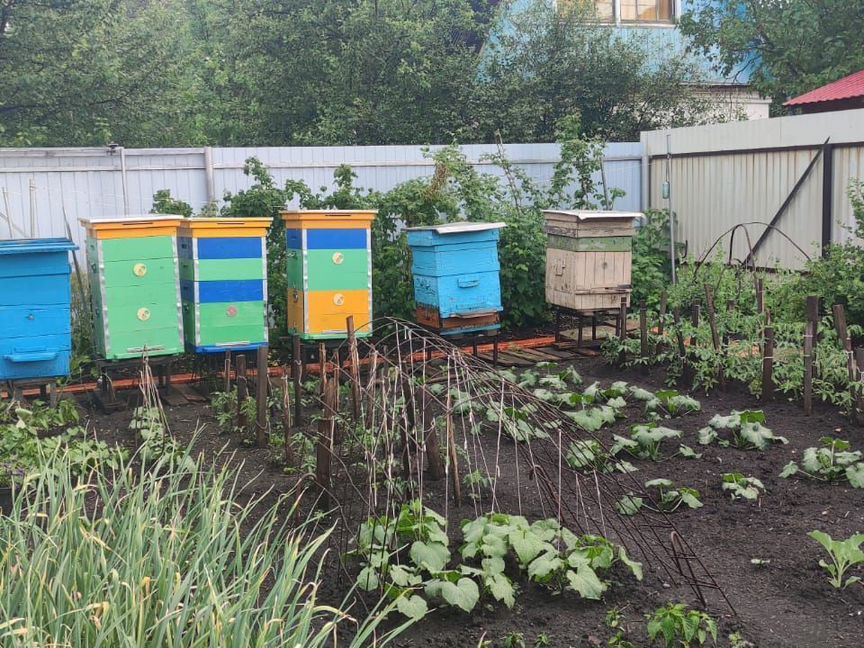 Ульи для пчел