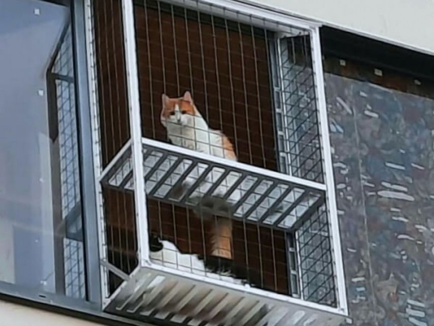 Уличный домик для кошки