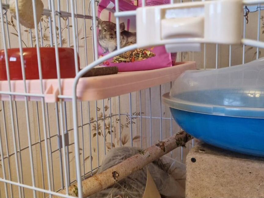 Клетка для шиншилы и грызунов