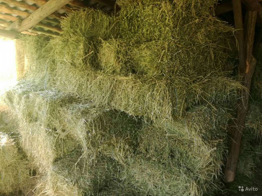 Сено,Опил с доставкой.Корма,Зерно.Обмен на мешки