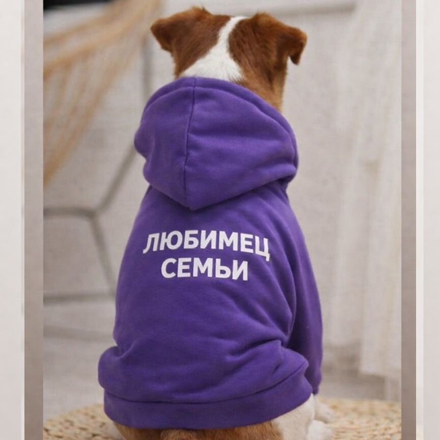 Одежда для собак с прикольными надписями