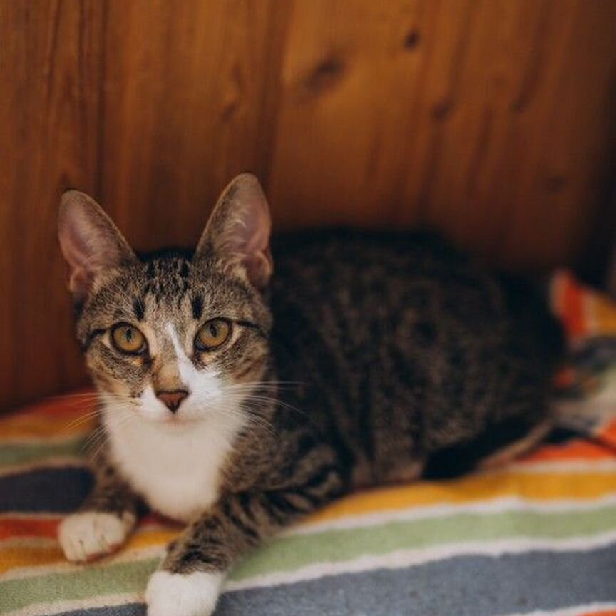 Машуня 4 мес