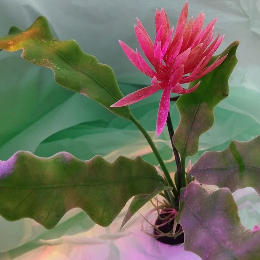 Искусственные цветы для декора аквариума