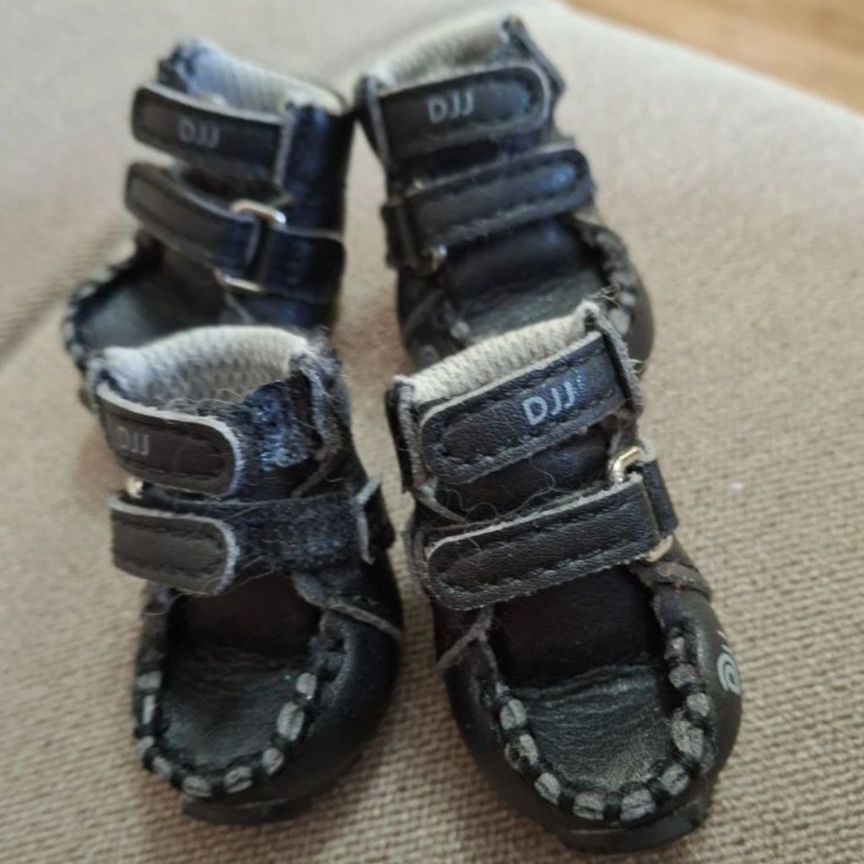 Обувь для маленьких собак