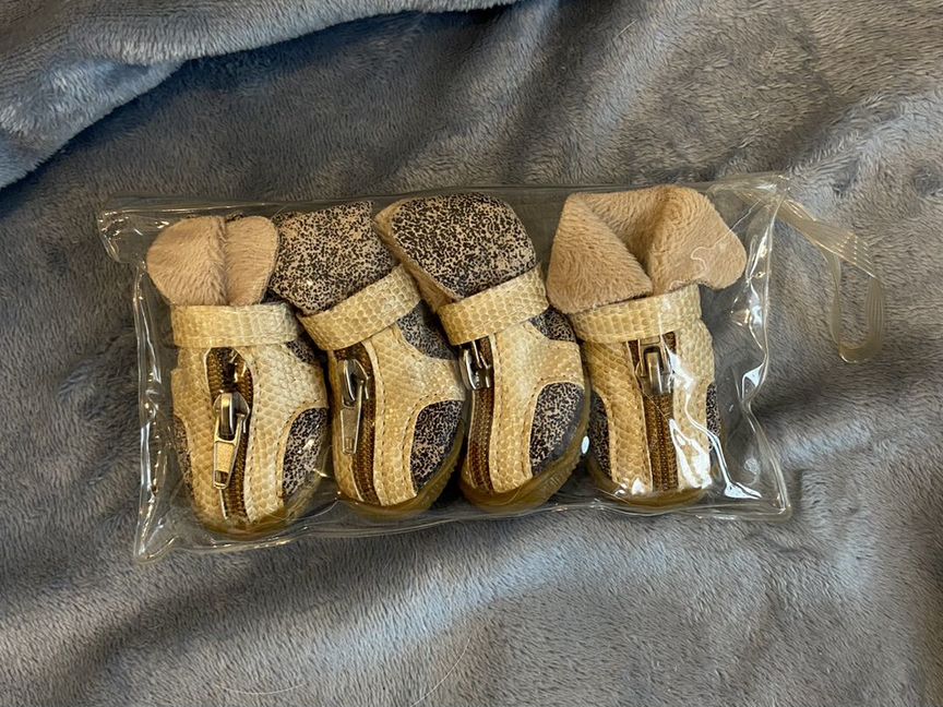 Ботинки для маленьких собак