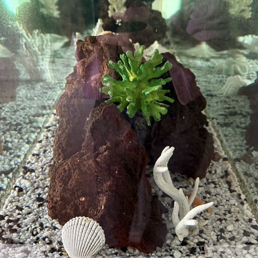 Декорации для аквариума