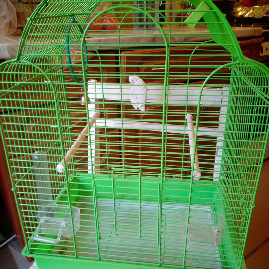 Клетка с кормушками и кормом