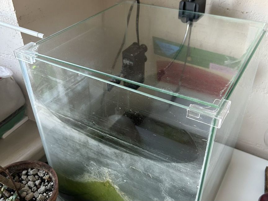 Аквариум 30л Gloxy