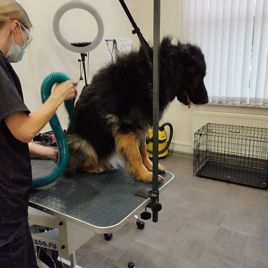 Отдам в добрые руки