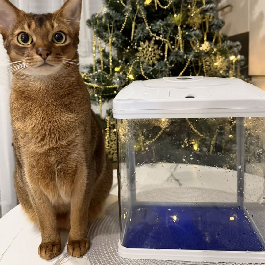 Аквариум для рыбок 7 литров