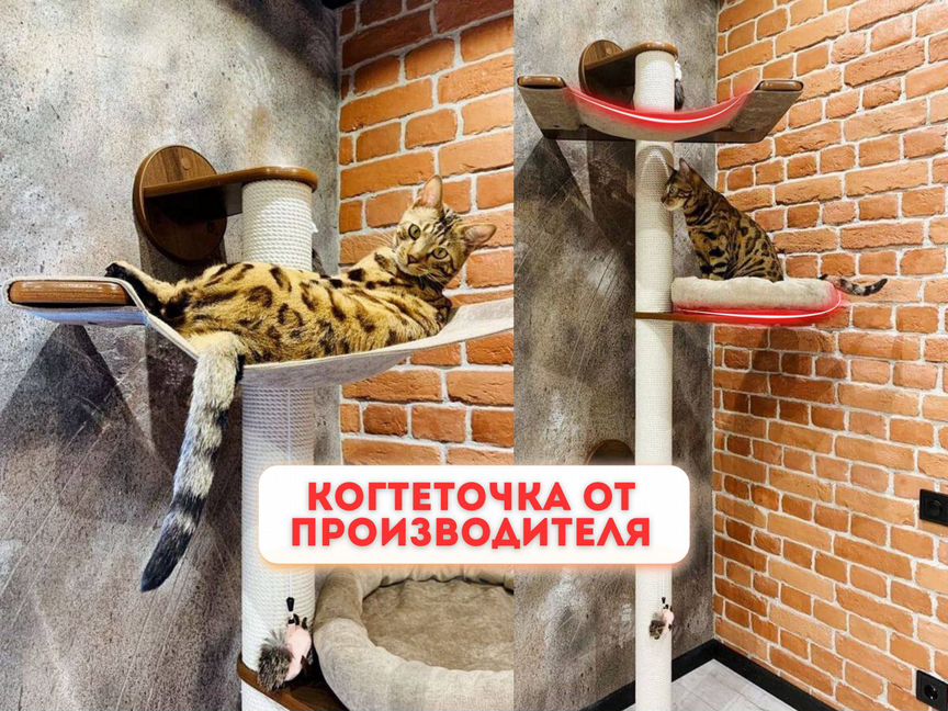 Когтеточка для кошек с домиком