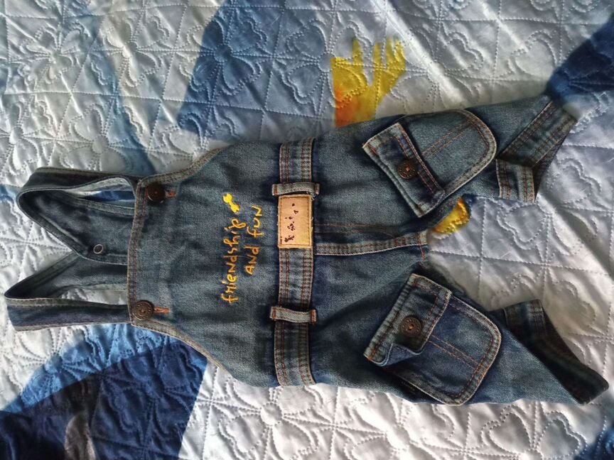 Одежда для собак