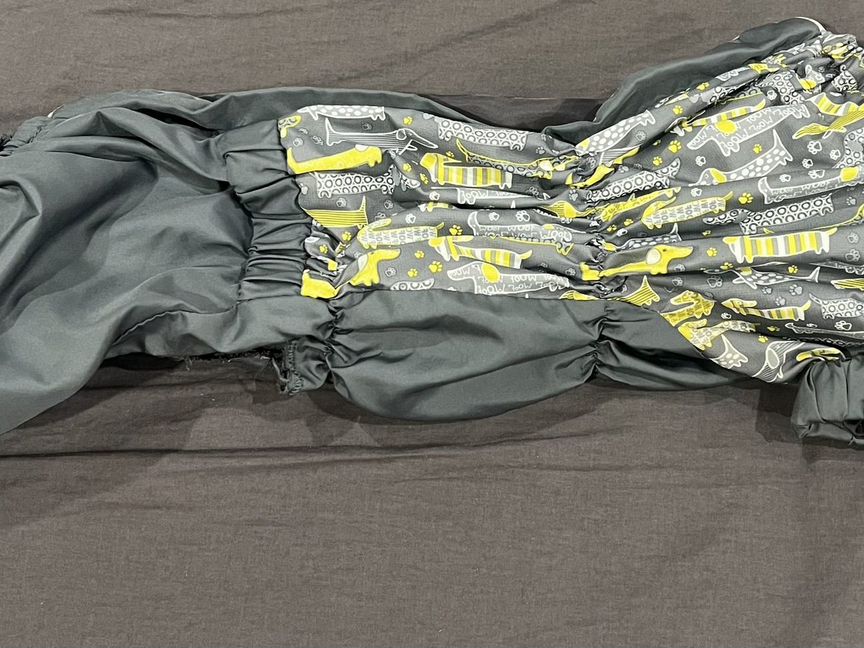 Одежда для таксы