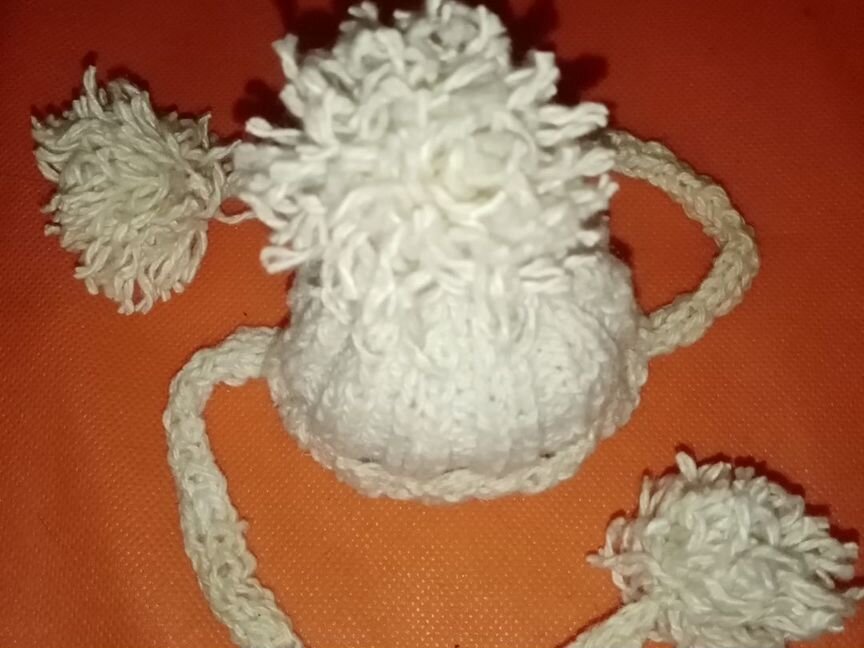 Одежда для собак мелких пород зима