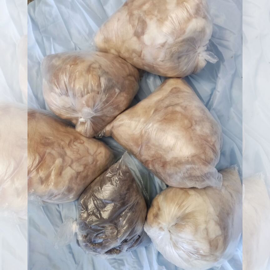 Собачий пух