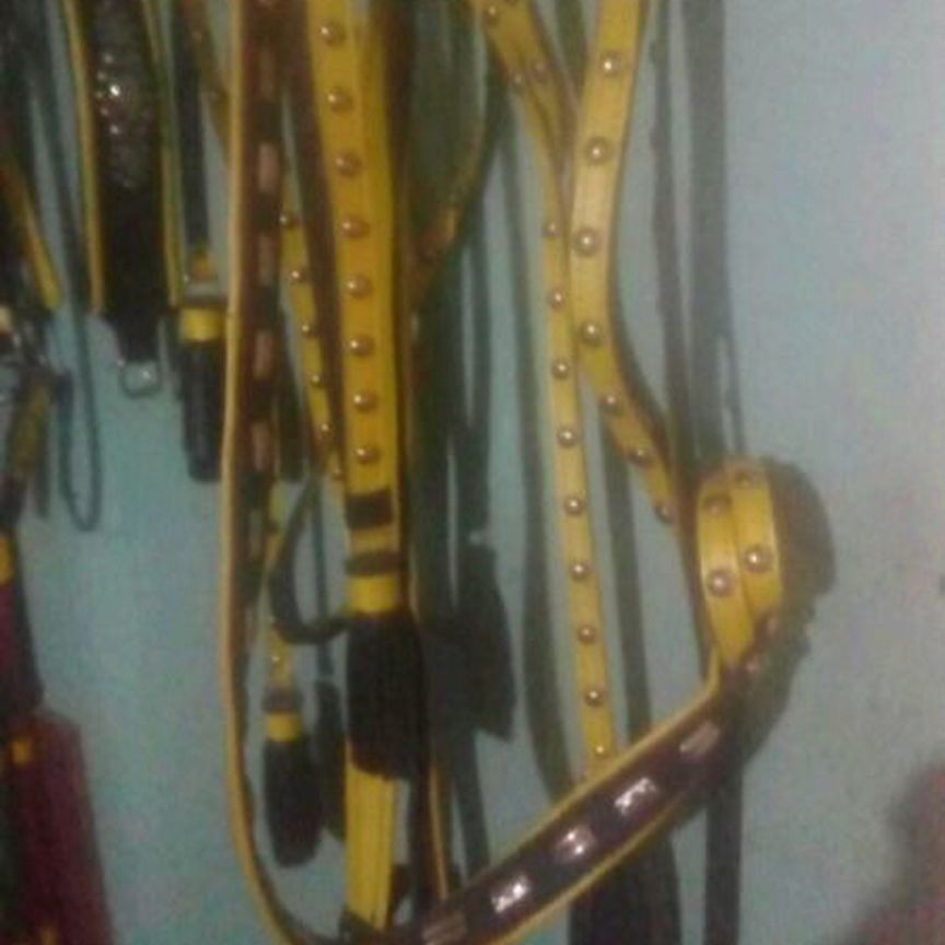 Комплект сбруя новая