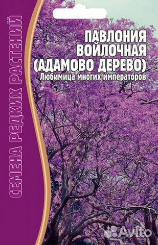 Семена Цветов Павлония Войлочная (Адамово дерево) купить в Санкт ...