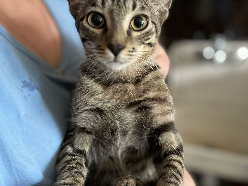 Мальчик 4,5 месяца