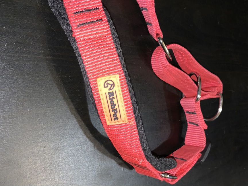 Амуниция для собак