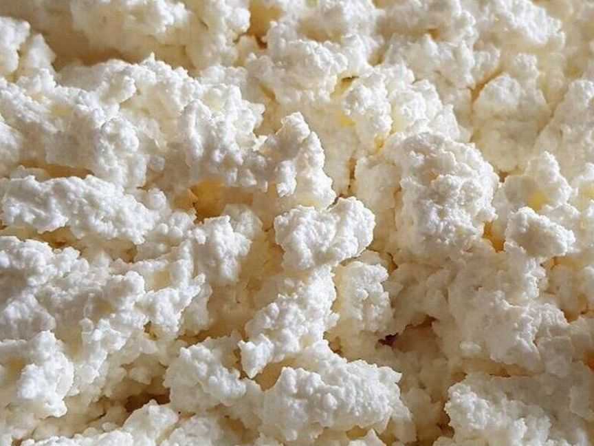 Творог для корма сельскохозяйственной птицы