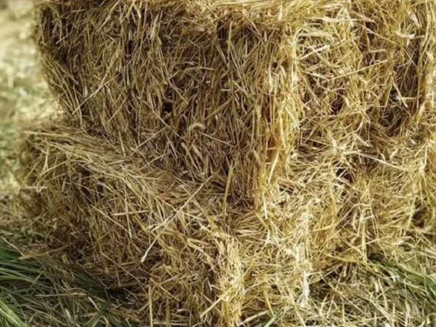 Солома в брикетах